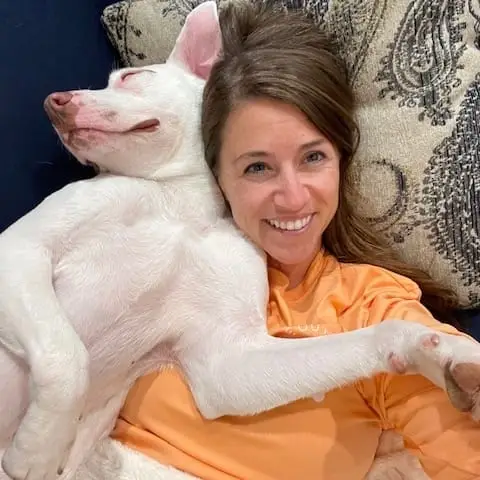 Are you a dog or cat lover? Become a Lucky Dog Animal Rescue Foster ...