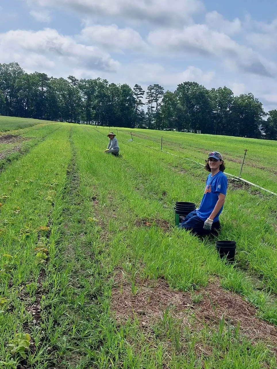 NJ Forest Service - Field Crew - Idealist